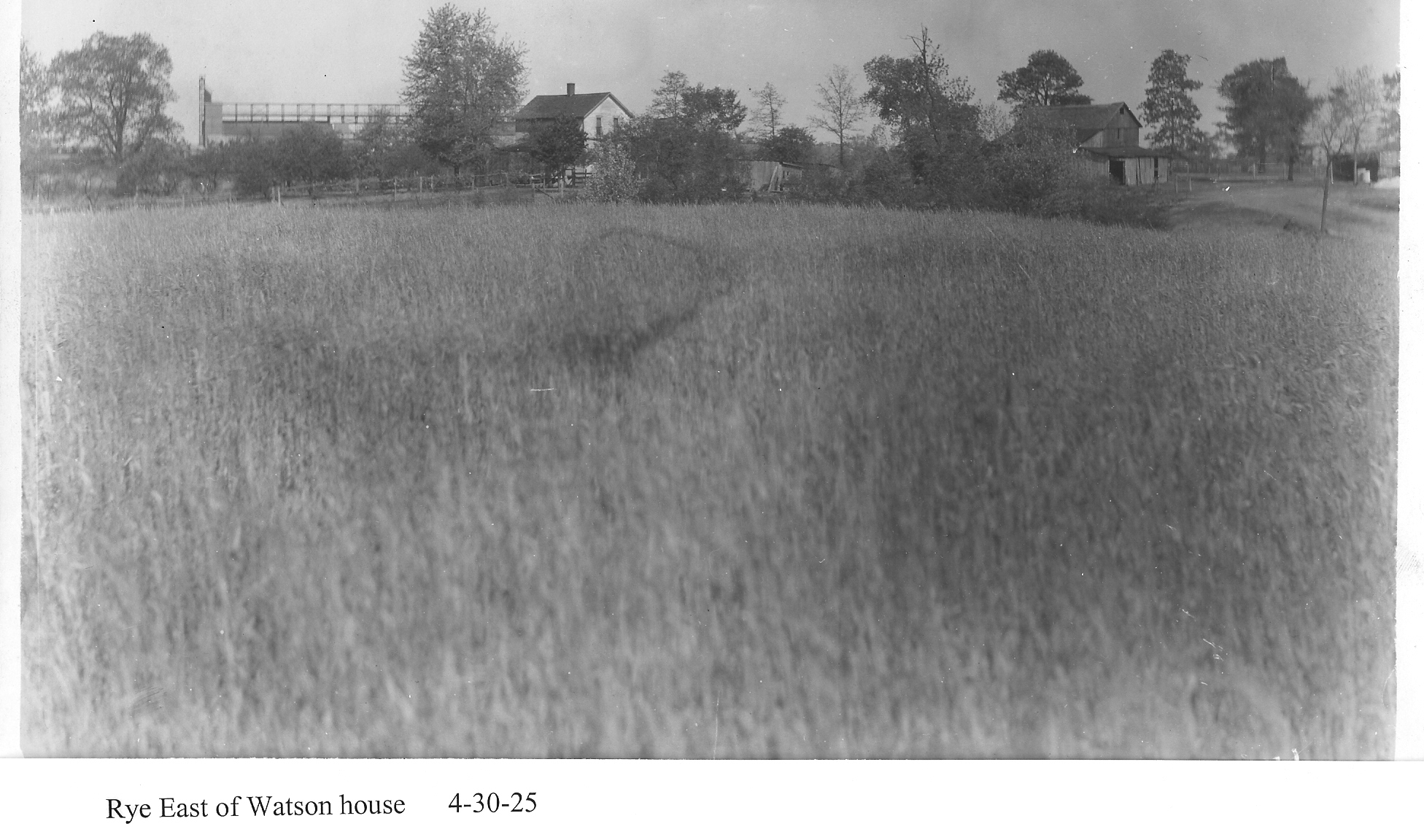 ASARCO Plant – The Village of Taylor Springs