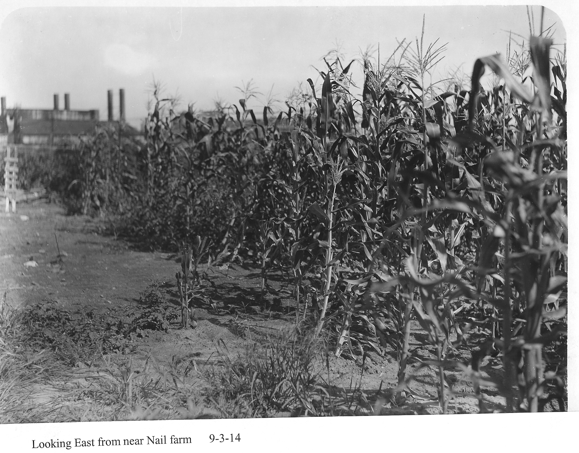 ASARCO Plant – The Village of Taylor Springs