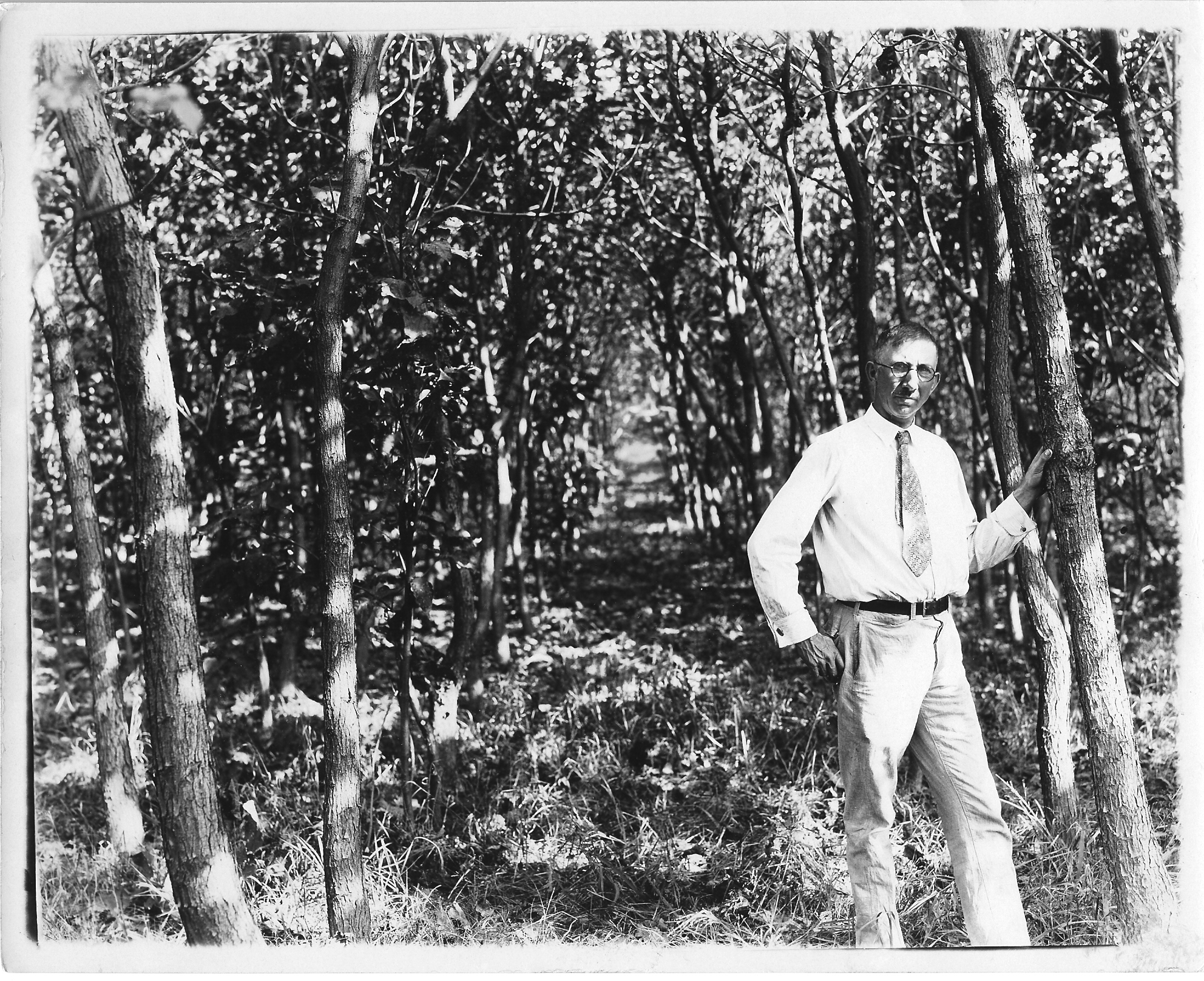 ASARCO Plant – The Village of Taylor Springs