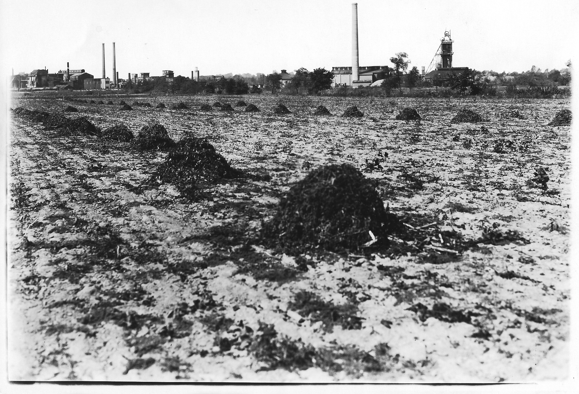 ASARCO Plant – The Village of Taylor Springs