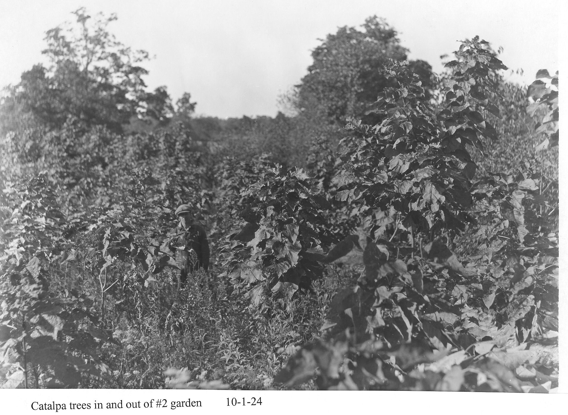 ASARCO Plant – The Village of Taylor Springs