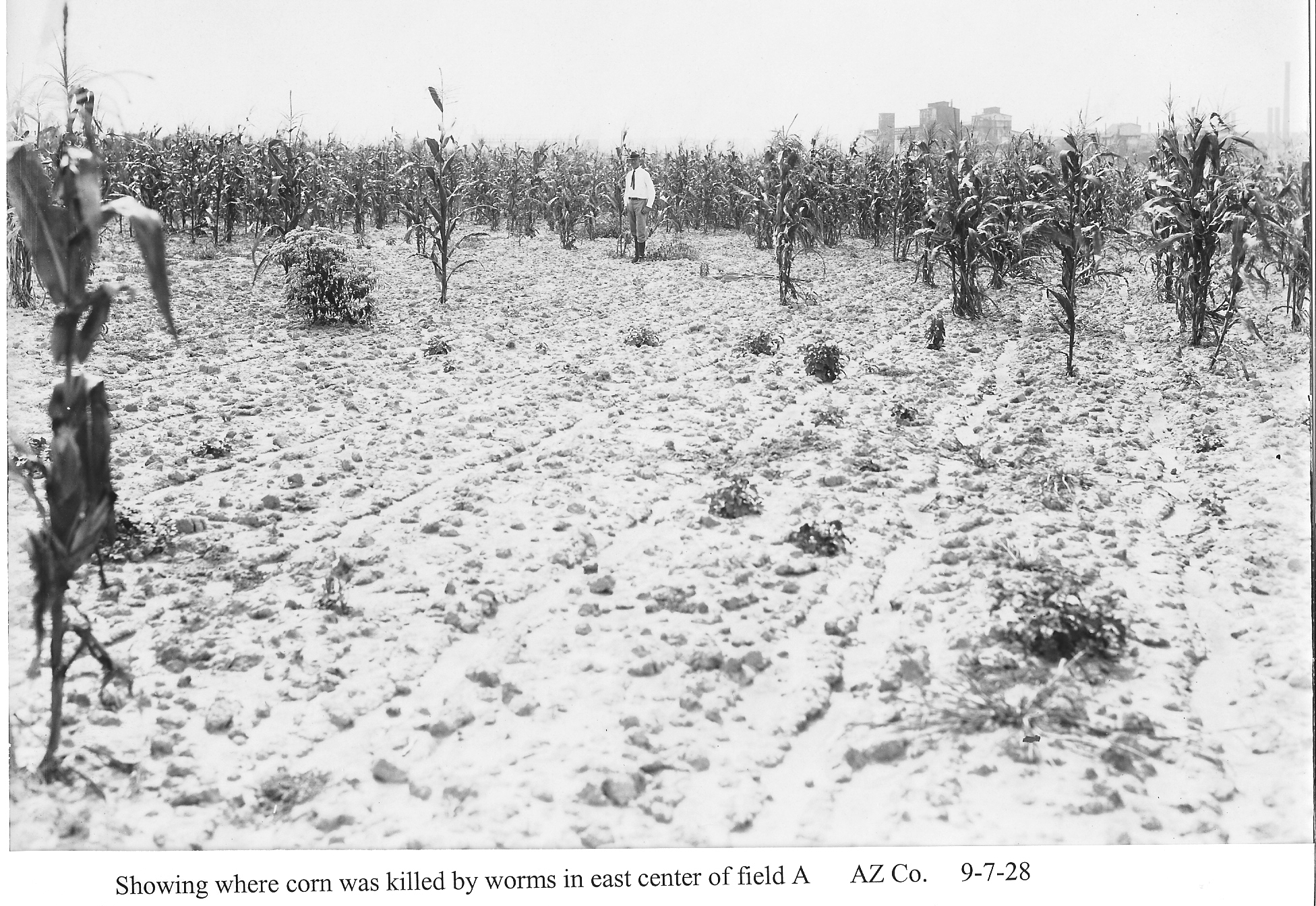 ASARCO Plant – The Village of Taylor Springs